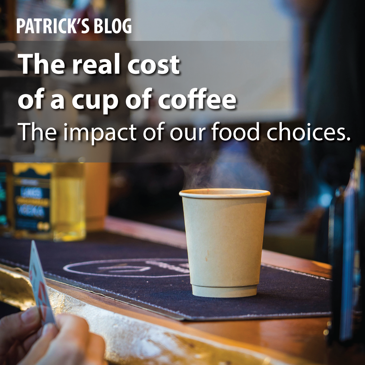 The real cost of a cup of coffee – Patrick's Beans